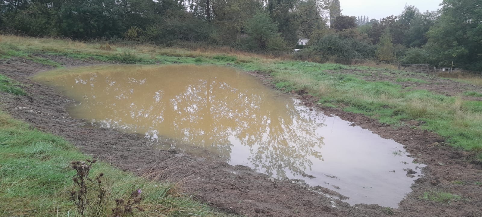 Pond Safety on The Howe - Howe Trust & Allotment Association