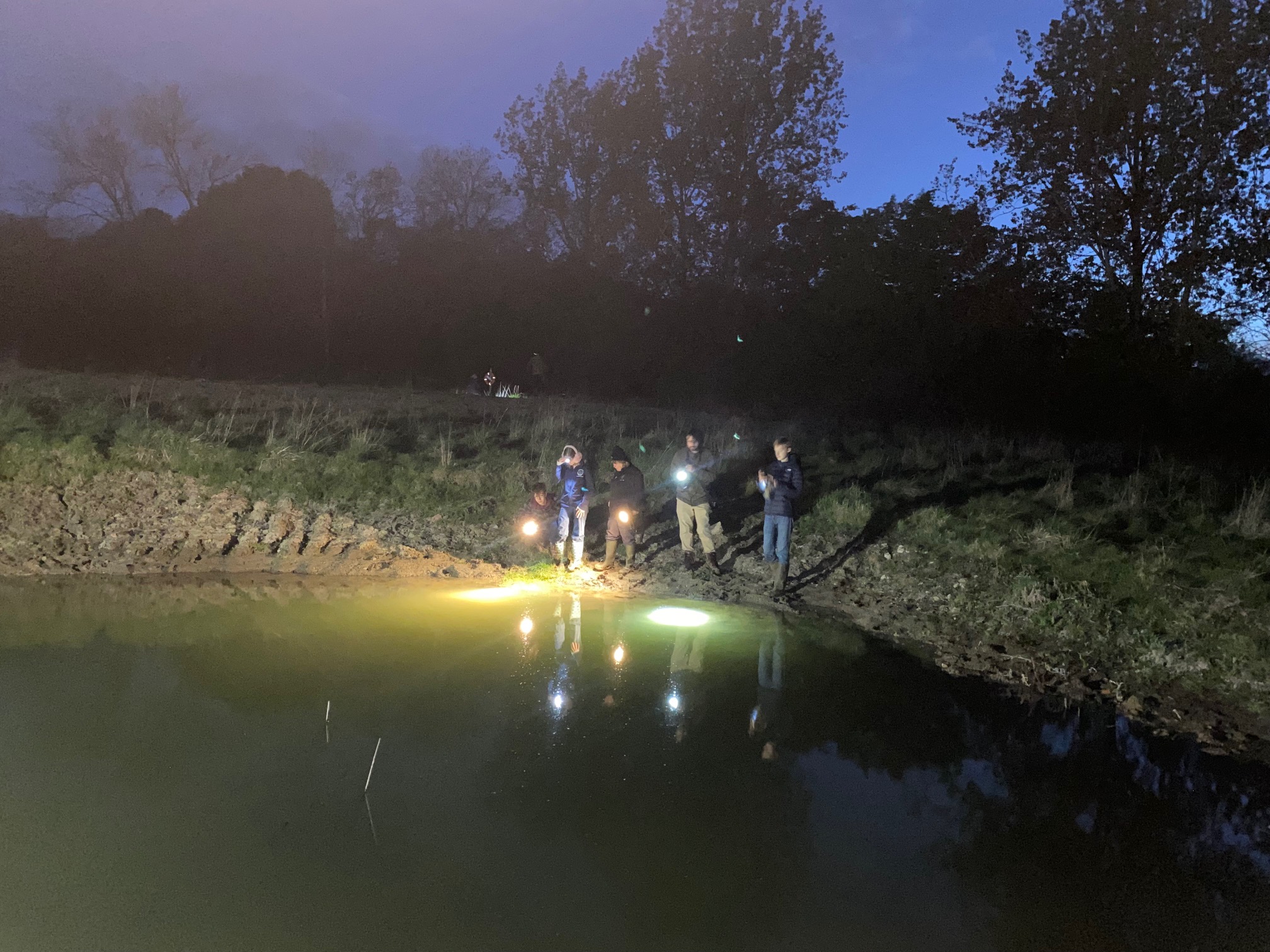 Invertebrates Galore! - Howe Trust & Allotment Association